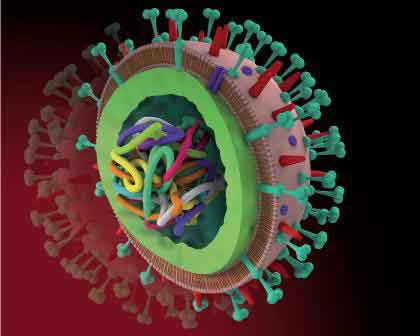 Kuş Gribi, Tavuk Vebası, Avian İnfluenza - Kanatlı - VetRehberi