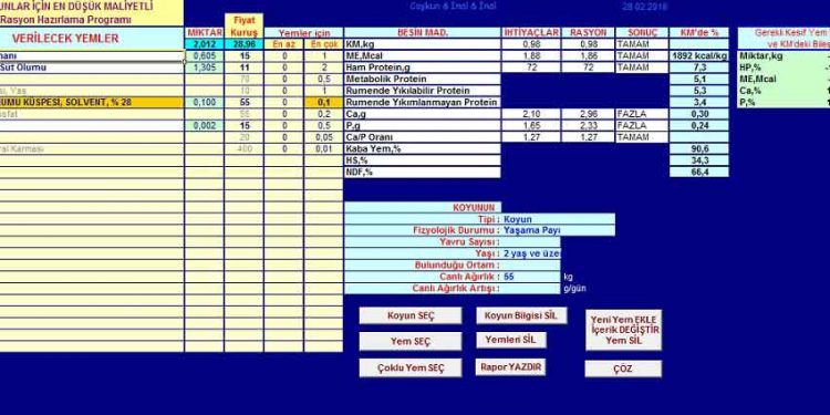 Koyun Rasyon Programı - Programlar - VetRehberi