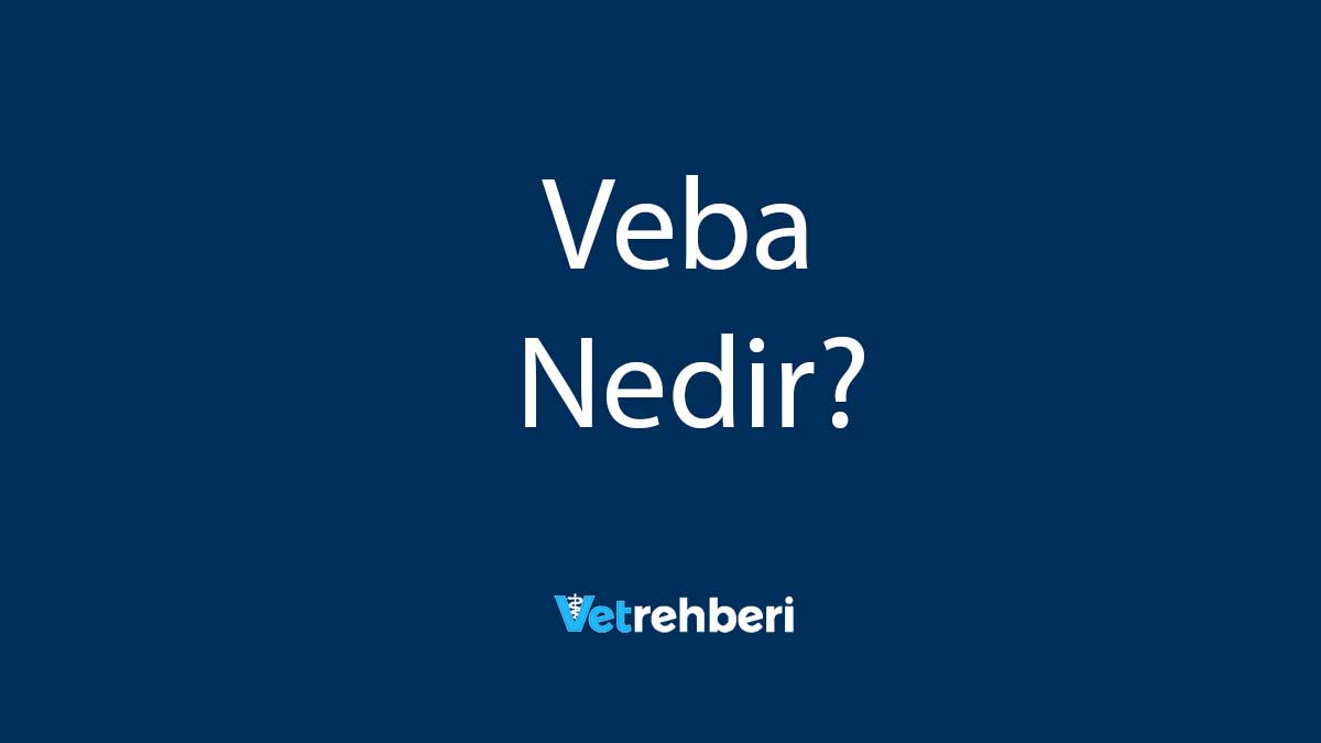 Veba Nedir Veteriner S zl k VetRehberi
